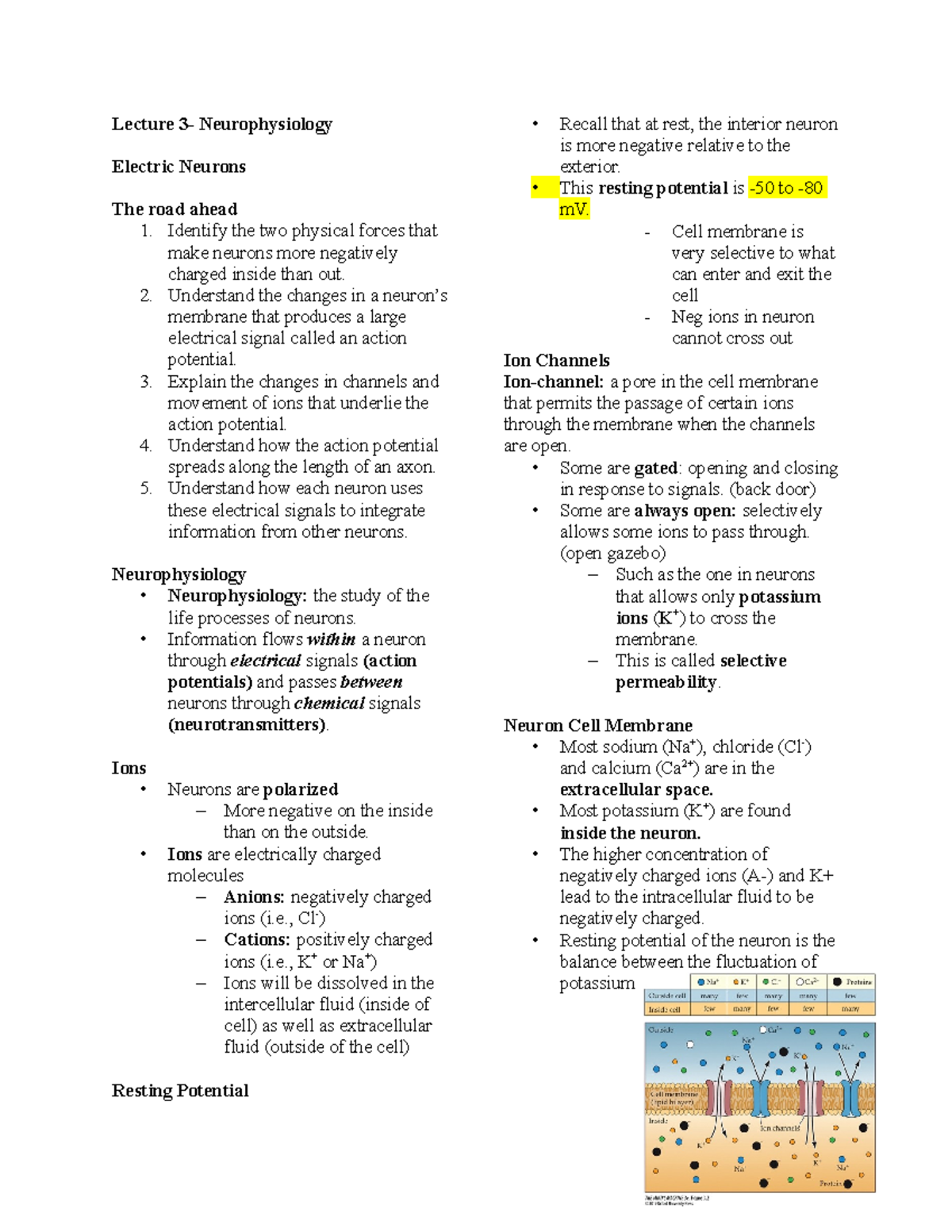 Lecture 3- Neurophysiology - Lecture 3- Neurophysiology Electric Neurons The road ahead 1 ...