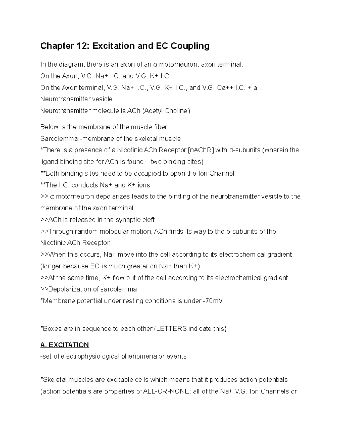 Chapter 12 Excitation and EC Coupling - Chapter 12: Excitation and EC ...