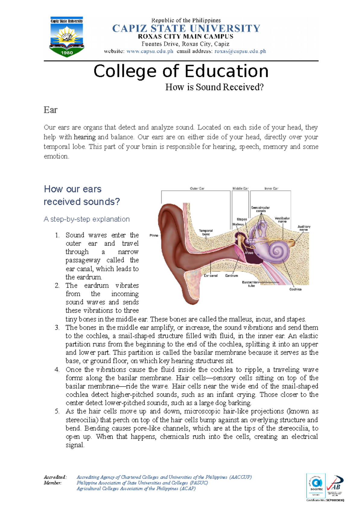 Capsu-header-2021-1 - N.A - How is Sound Received? Ear Our ears are ...