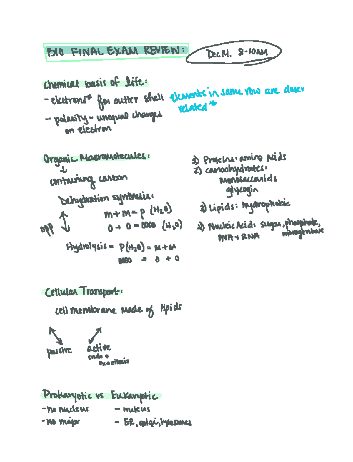 Bio final exam study - Prof ruby - BIO FINAL EXAM REVIEW Dect4. hn ...