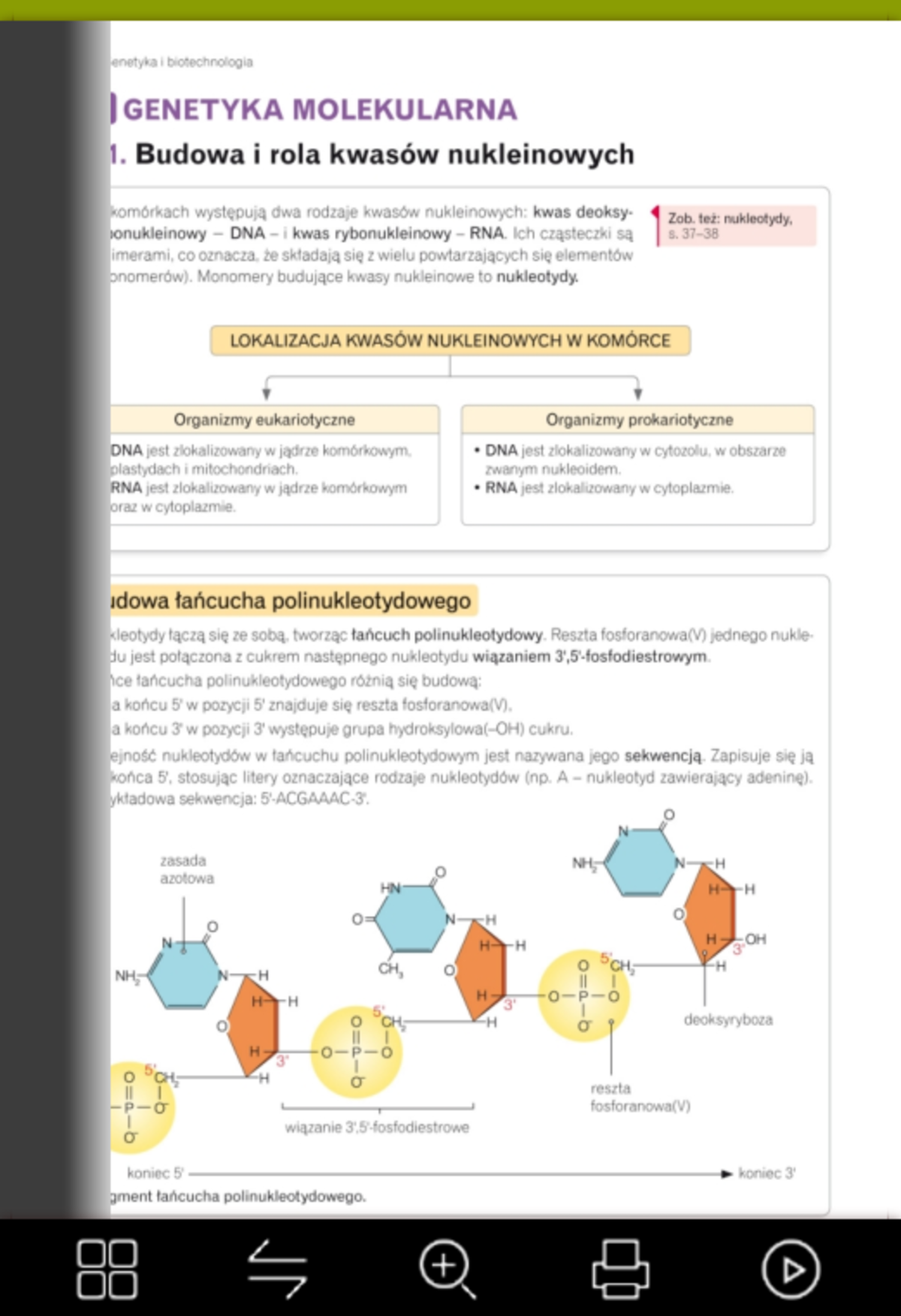 738047314 Teraz Matura Biologia Vademecum - Genetyka i biotechnologia I ...