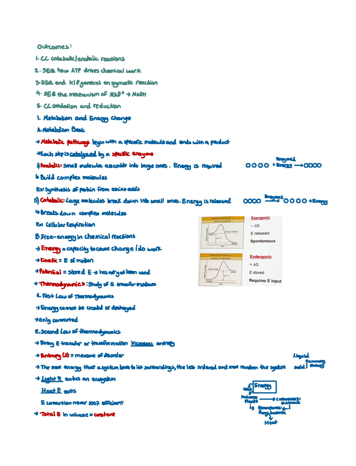 Lecture 7- Metabolism - 01:119:115 - Studocu