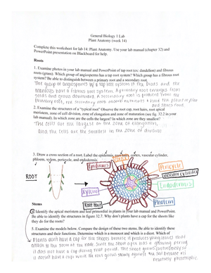 Drug Development Lecture 1 - Drug Development: (5 “steps”) DISCOVERY ...