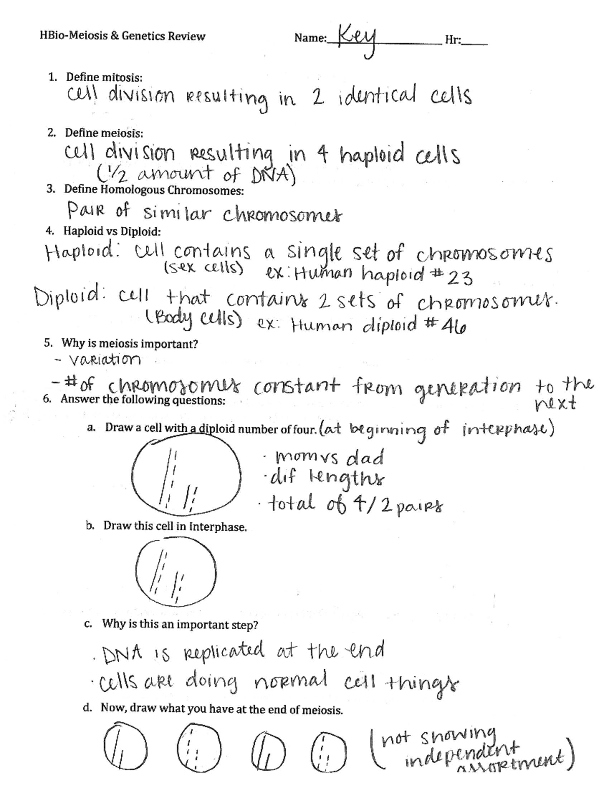 Meisosis and Genetics Review Answer Key 230528 081310 - Studocu