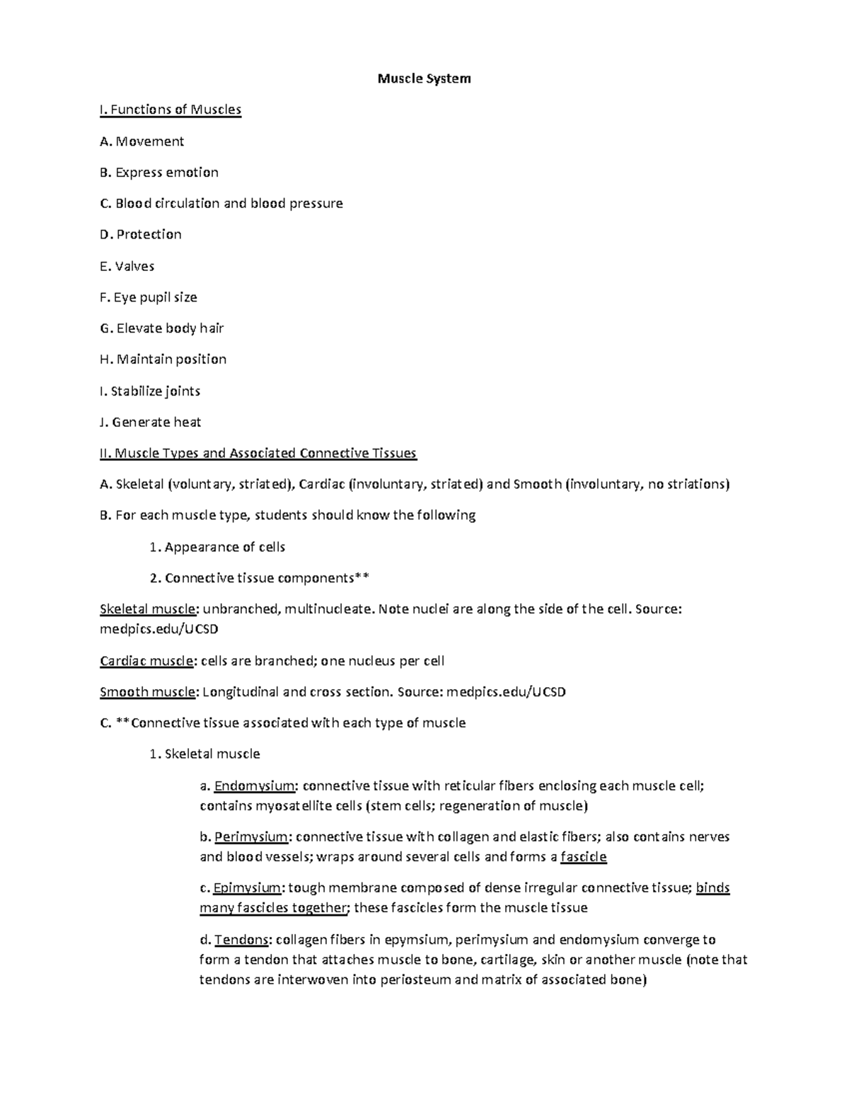 Muscle System Outline - My lecture notes for class - Human Morphology ...