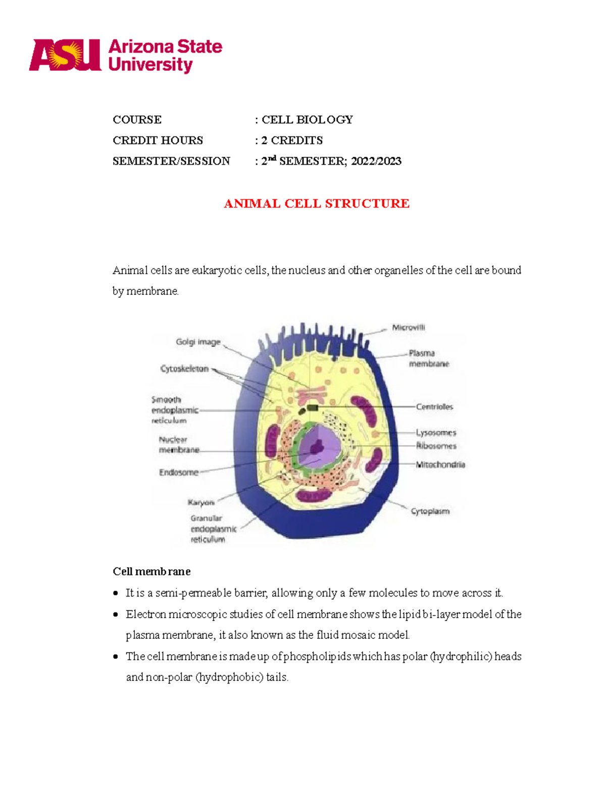 Lecturer Notes Animal CELL Structure - COURSE : CELL BIOLOGY CREDIT ...