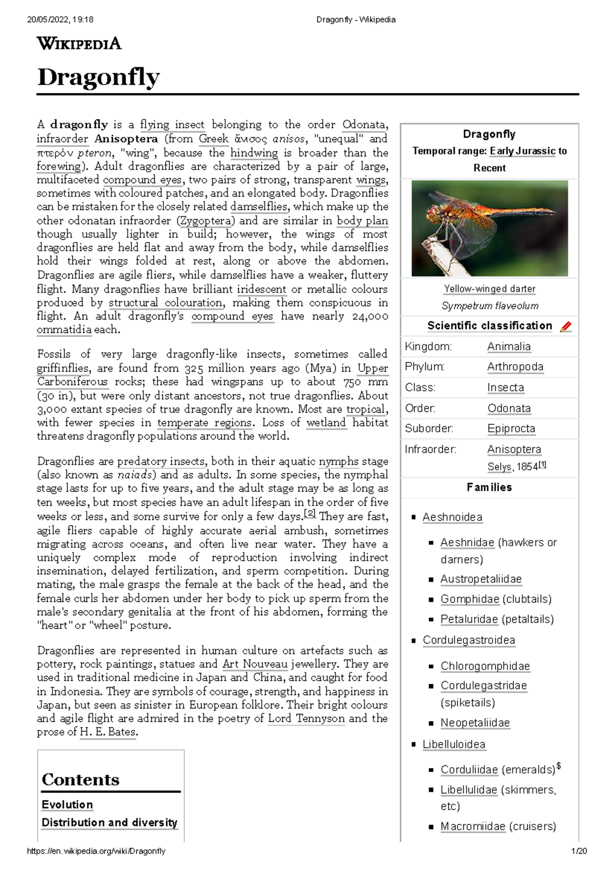 Dragonfly - ASD - Dragonfly Temporal range: Early Jurassic to Recent Yellow-winged darter ...