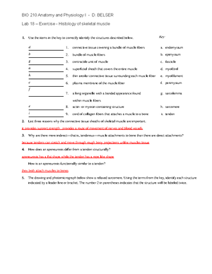 14 BIO 210 Lab 23 Exercise - 210 Lab Module Q The Human Brain Using the ...