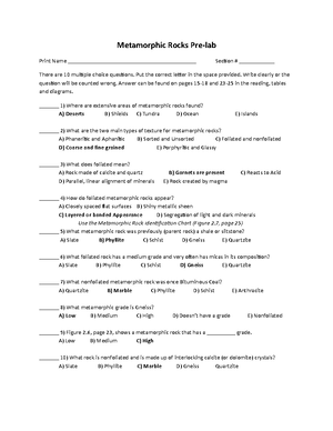 Sedimentary Rocks - Quiz - Sedimentary Rocks Pre-lab Print Name Section ...