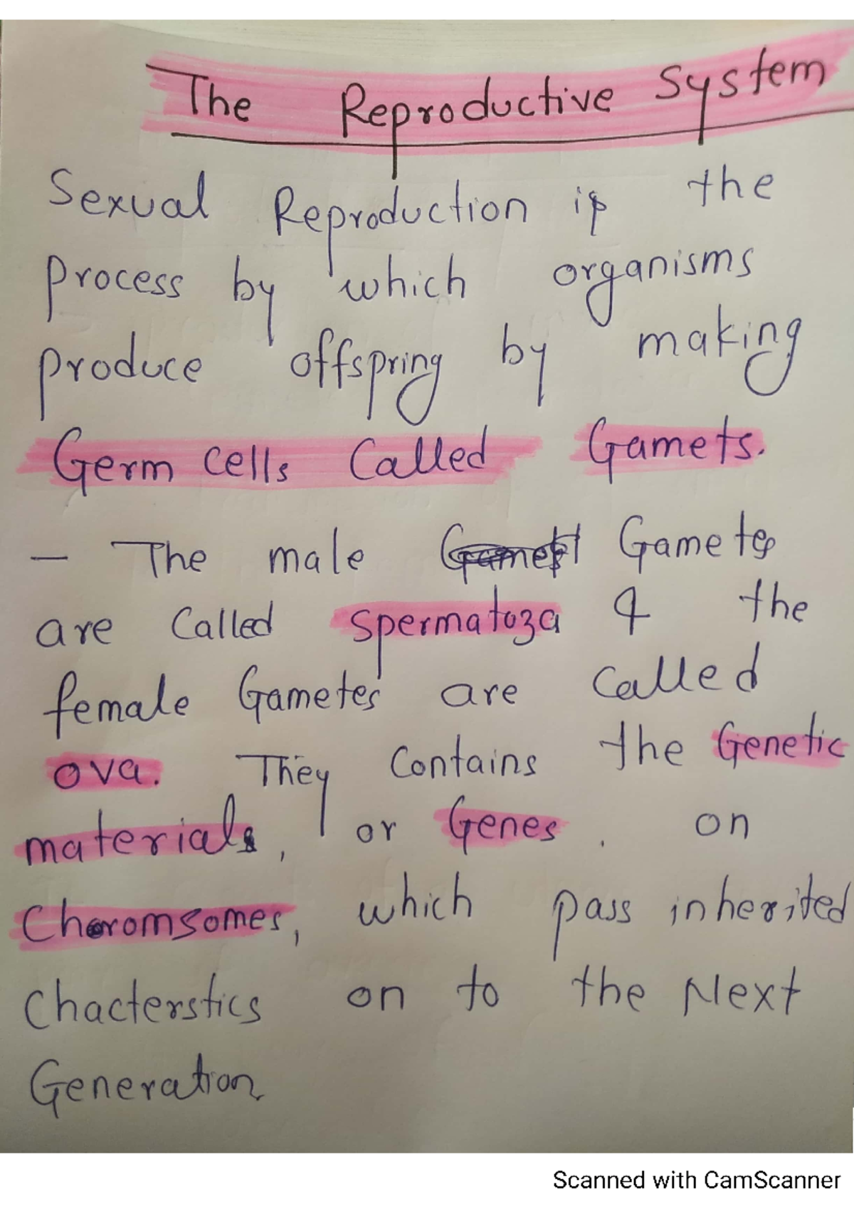 Reproductive system - 1st sem Bsc nursing short notes of anatomy and ...
