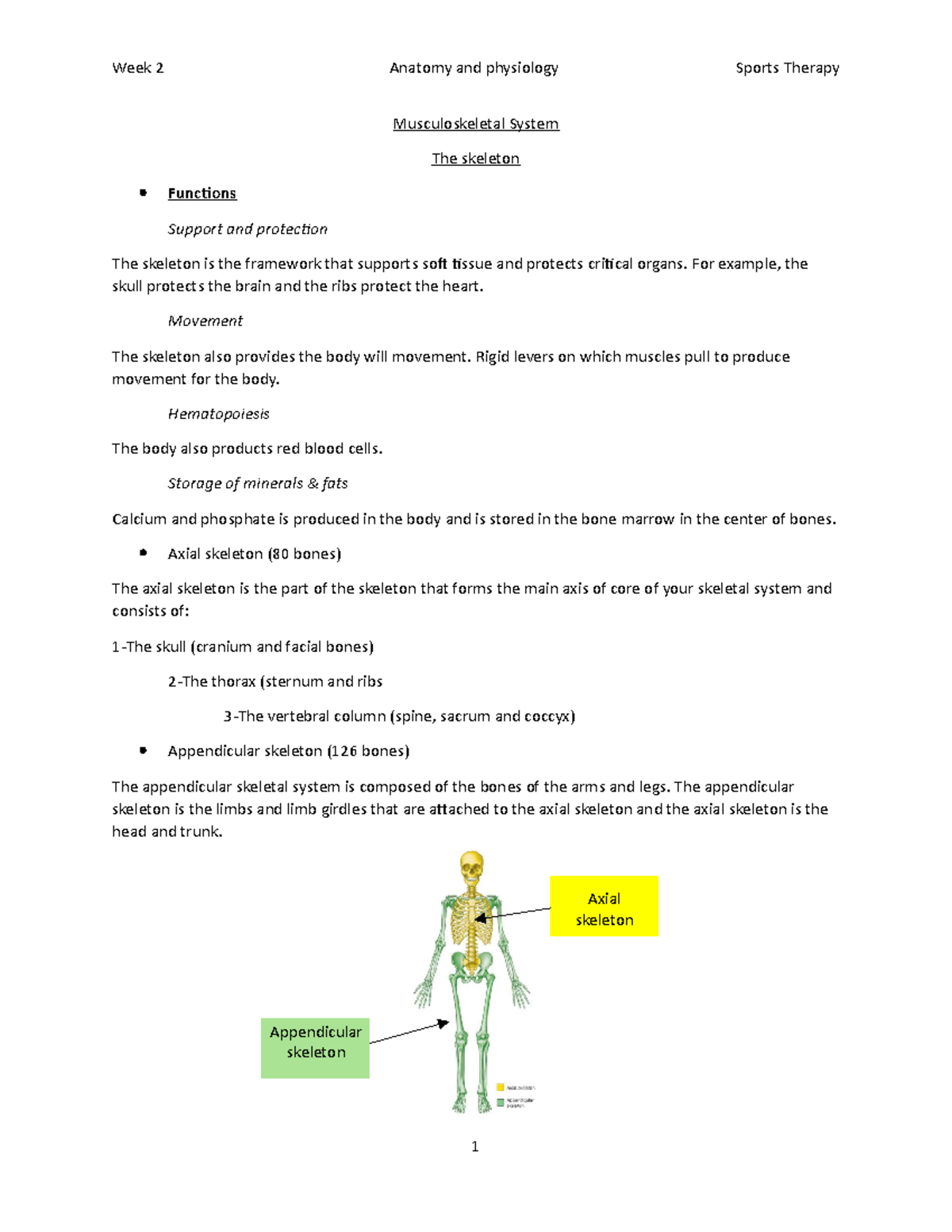 Musculoskeletal System (Notes) - Week 2 Anatomy and physiology Sports ...