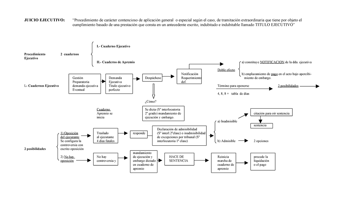 Esquema Juicio Ejecutivo - JUICIO EJECUTIVO: “Procedimiento de carácter ...