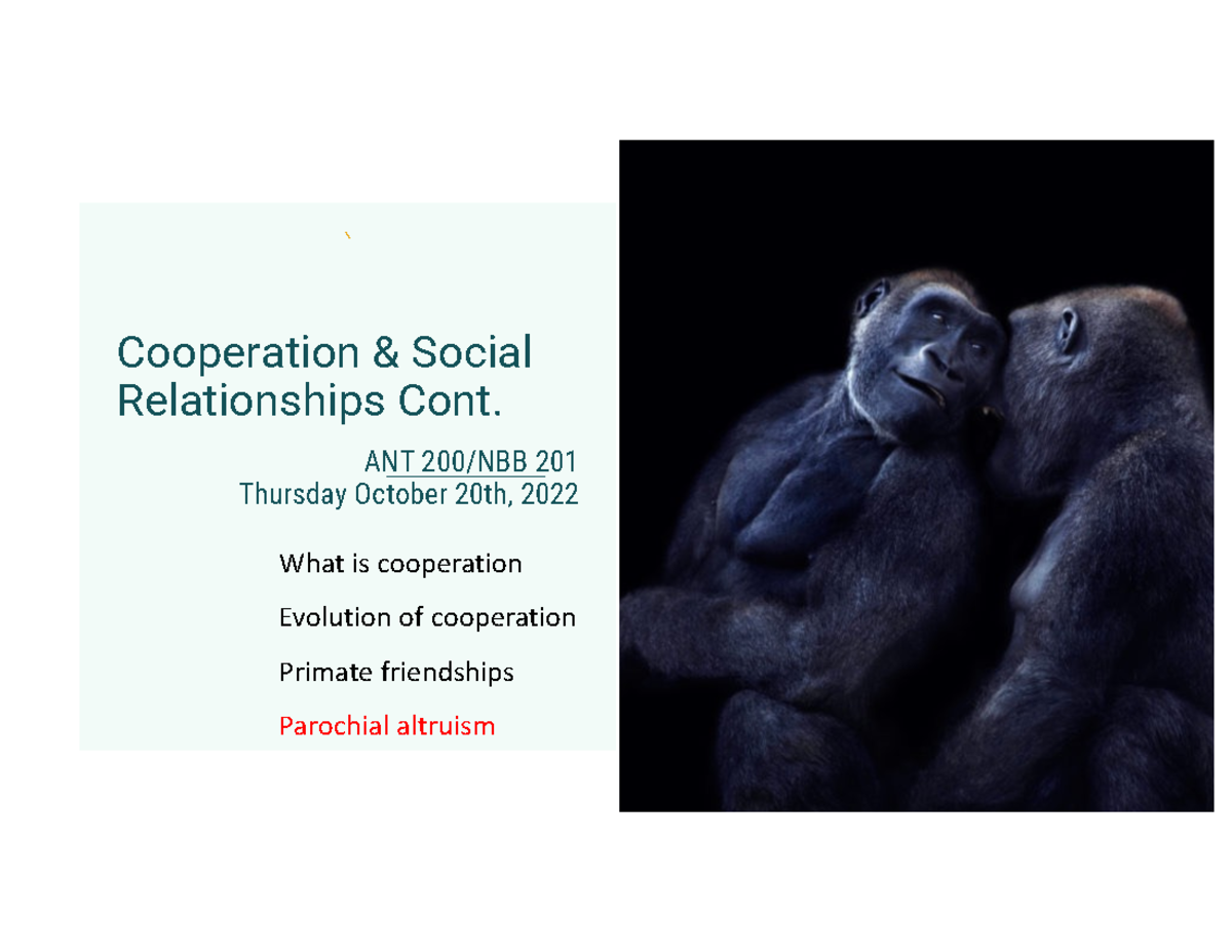 Cognition + Intelligence 10:20 - Cooperation & Social Relationships ...
