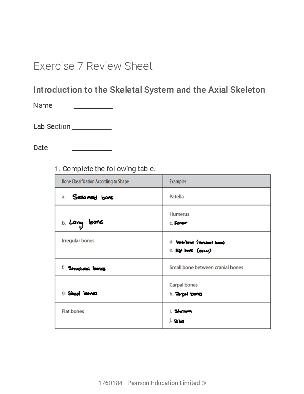 Lab Ass 7 Lab Assignment Completed Exercise 7 Review Sheet Introduction To The Skeletal