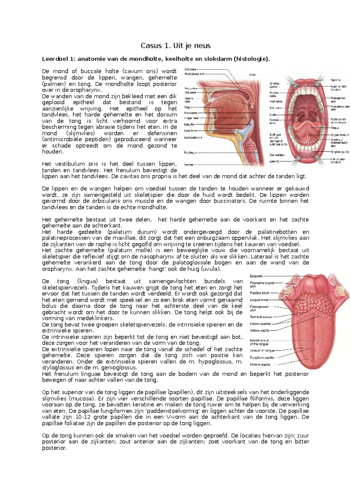 Casus 1 - Casus 1. Uit je neus Leerdoel 1: anatomie van de mondholte ...