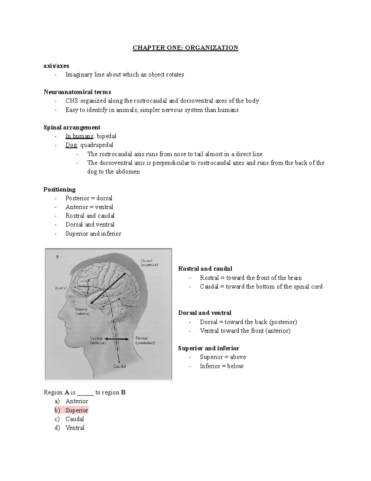 (3) Psych 2712 - Intro Neuro Notes - CHAPTER ONE: ORGANIZATION axis ...