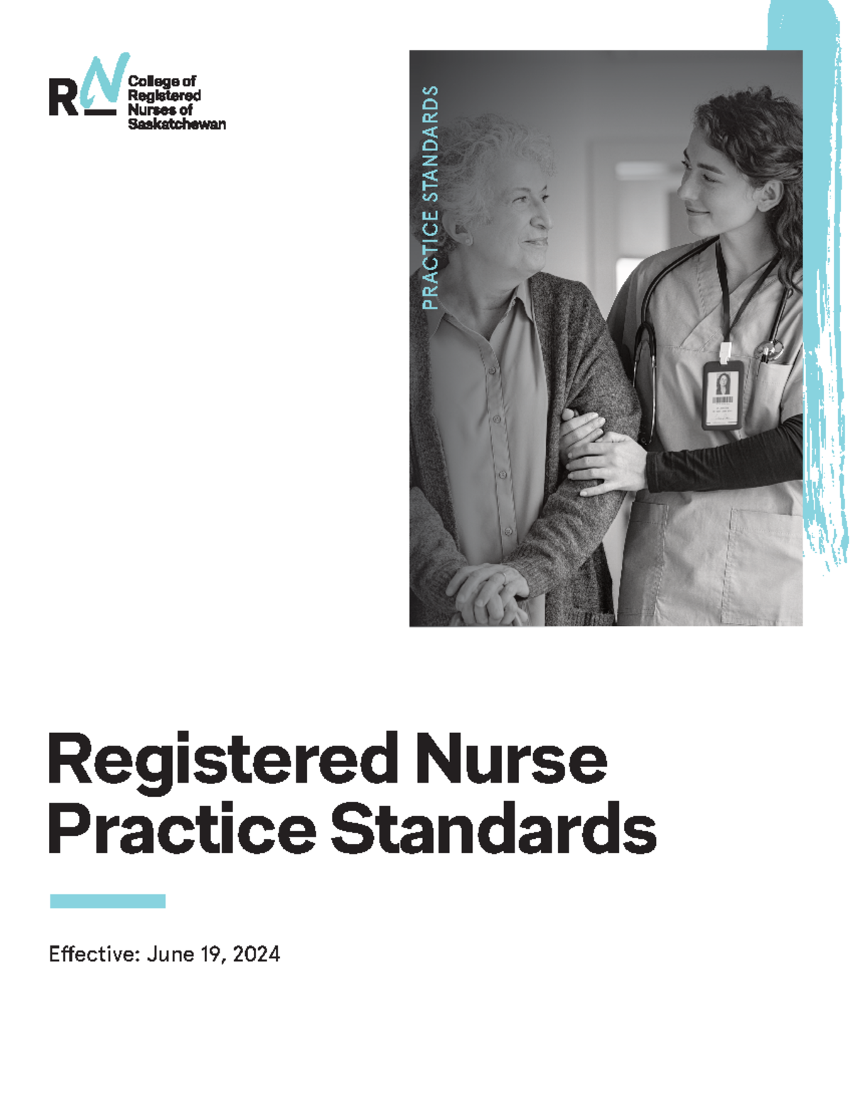 RN-Practice-Standards - 1 PRACTICE STANDARDS Registered Nurse Practice ...