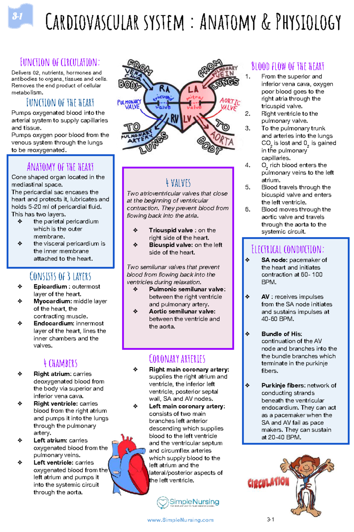 Anatomy physiology Cardio System - Blood flow of the heart From the ...