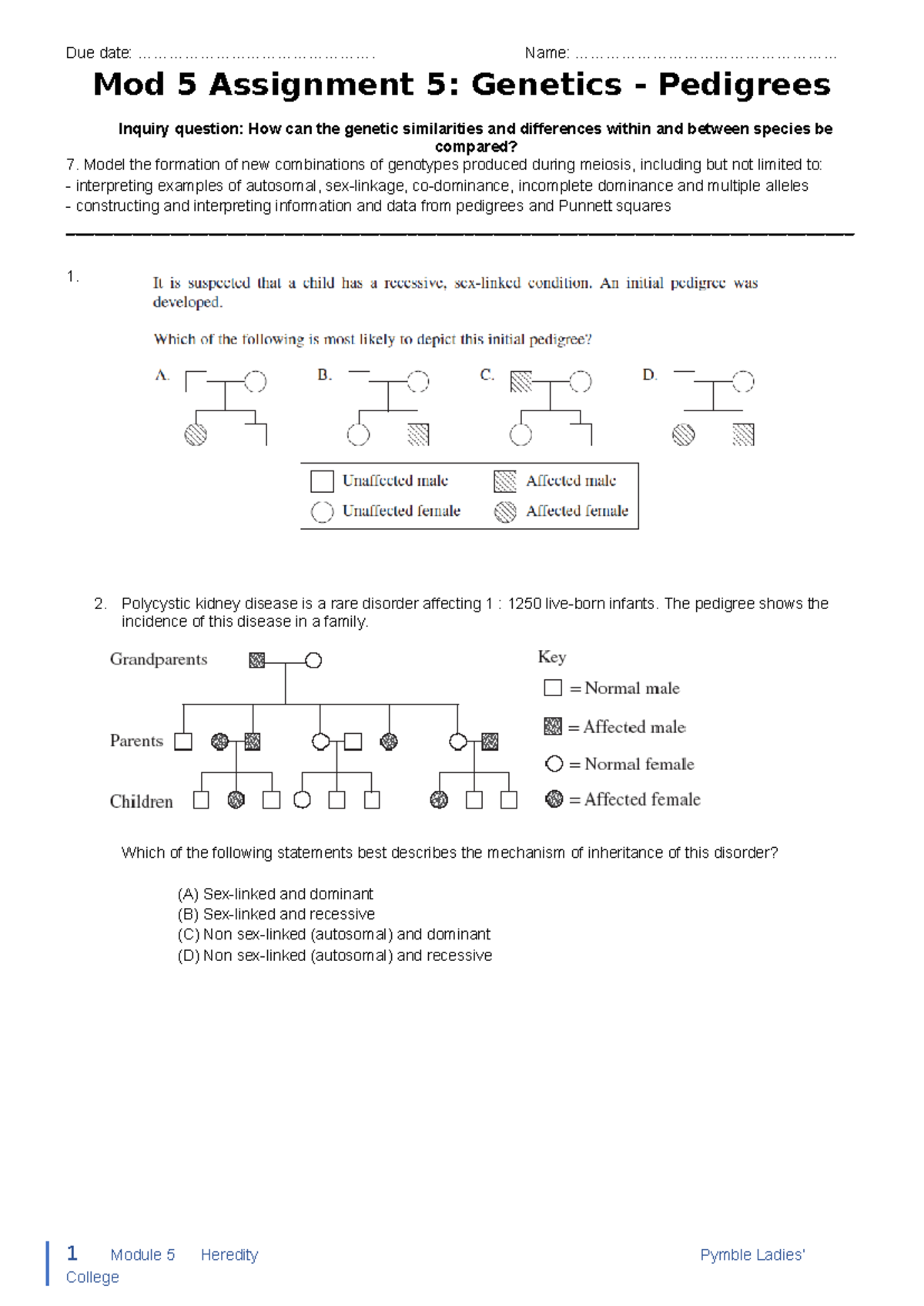 Mod 5 Assignment 5 Genetics - Pedigrees 2024-1 - Mod 5 Assignment 5 ...