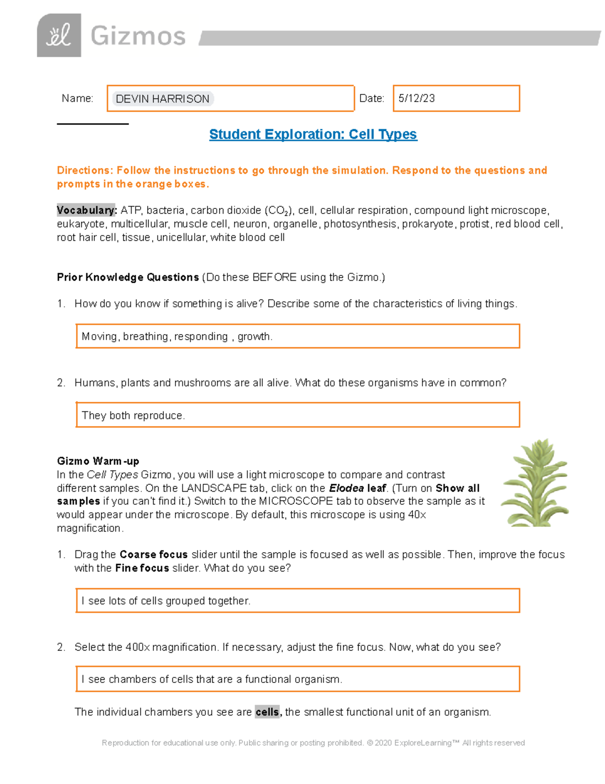 Devin Harrison - Gizmo Cell Types - 4738436 - Name: DEVIN HARRISON Date ...
