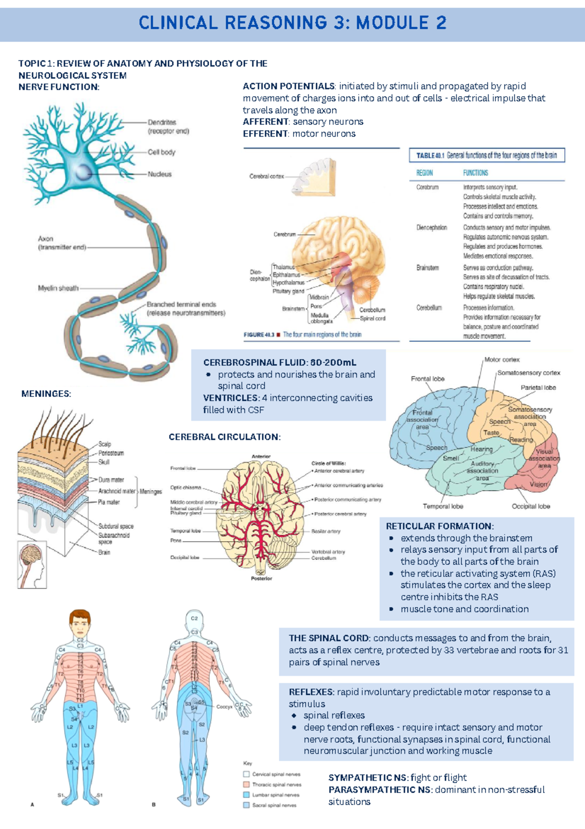 Module 2 - TOPIC 1: REVIEW OF ANATOMY AND PHYSIOLOGY OF THE ...