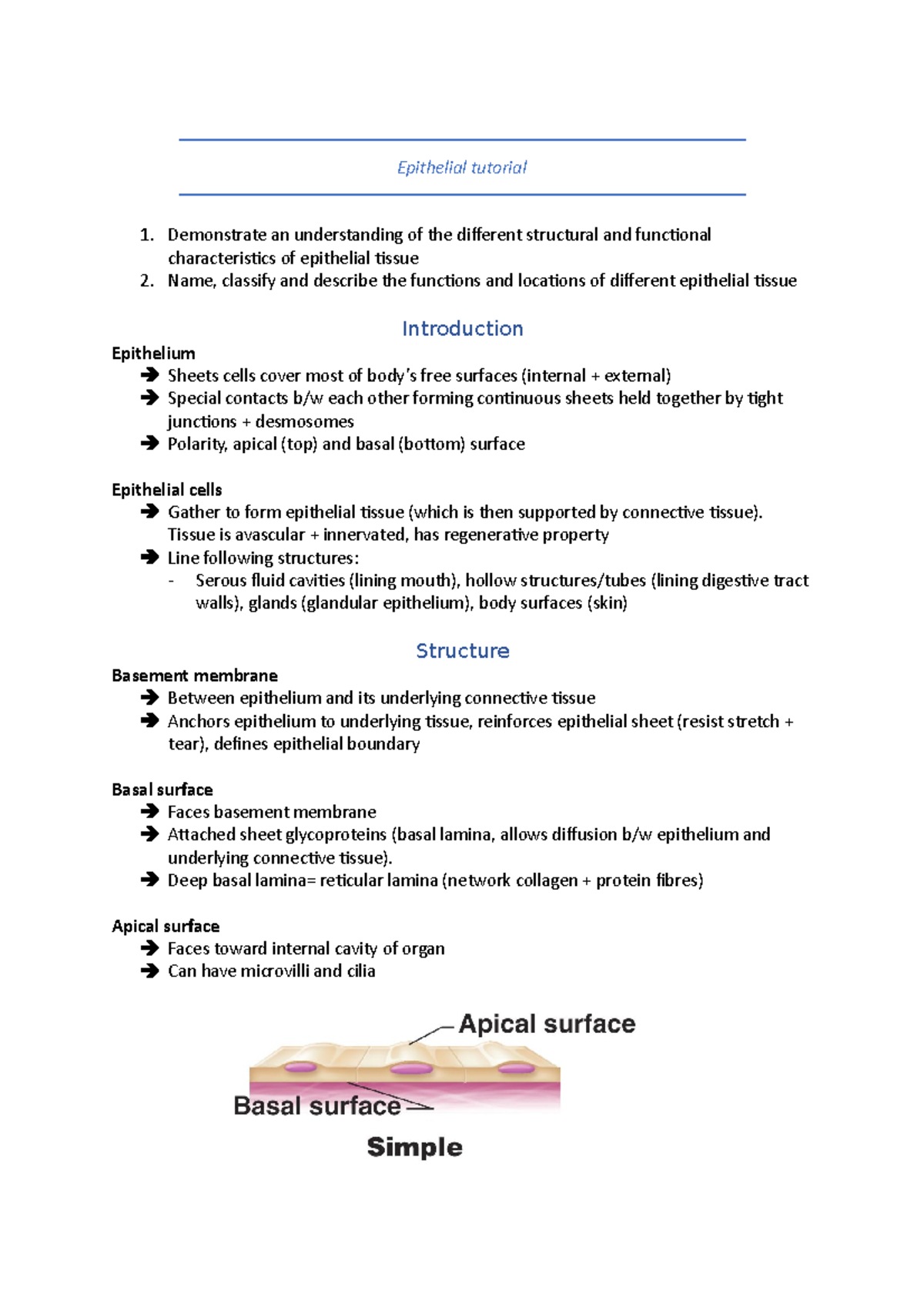 Epithelial tutorial - Demonstrate an understanding of the different ...