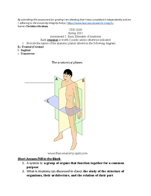 Voice anatomy - and vocal folds are part of the larynx, vocal folds ...