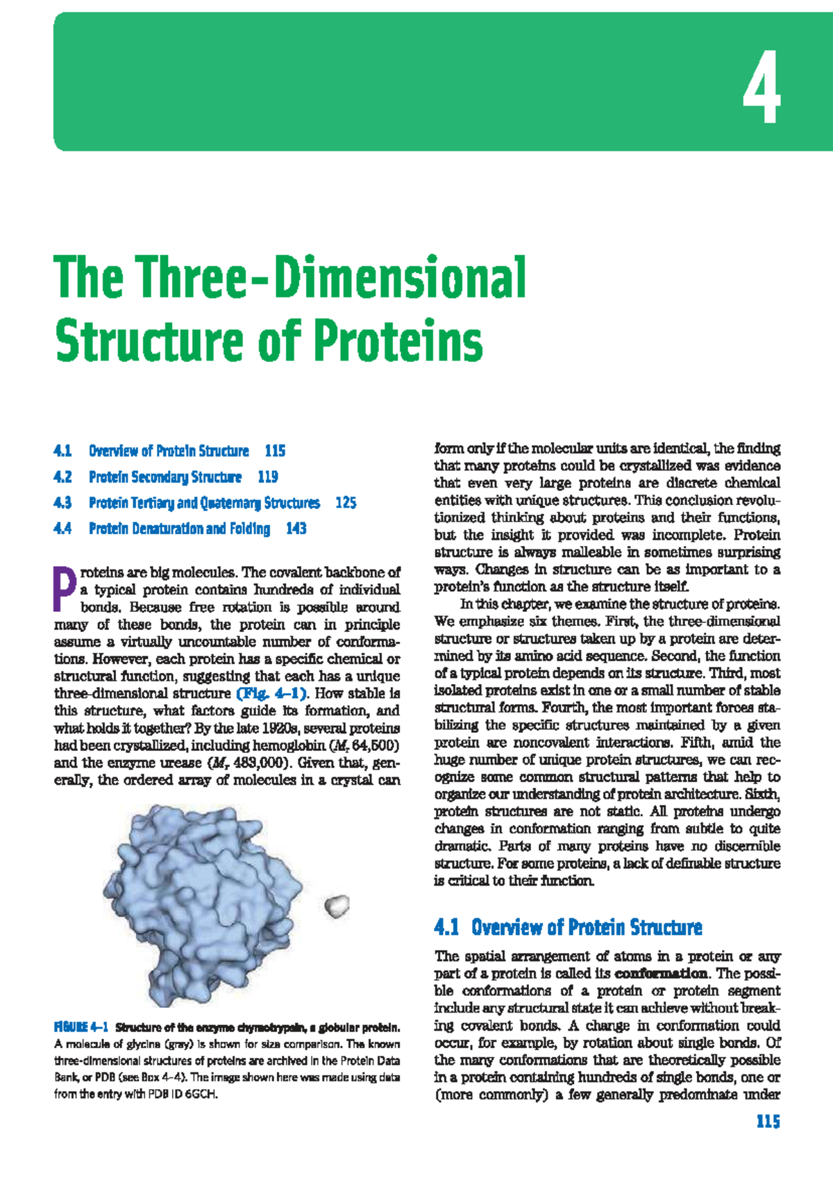 Protein structure - This conclusion tionized thinking about proteins ...