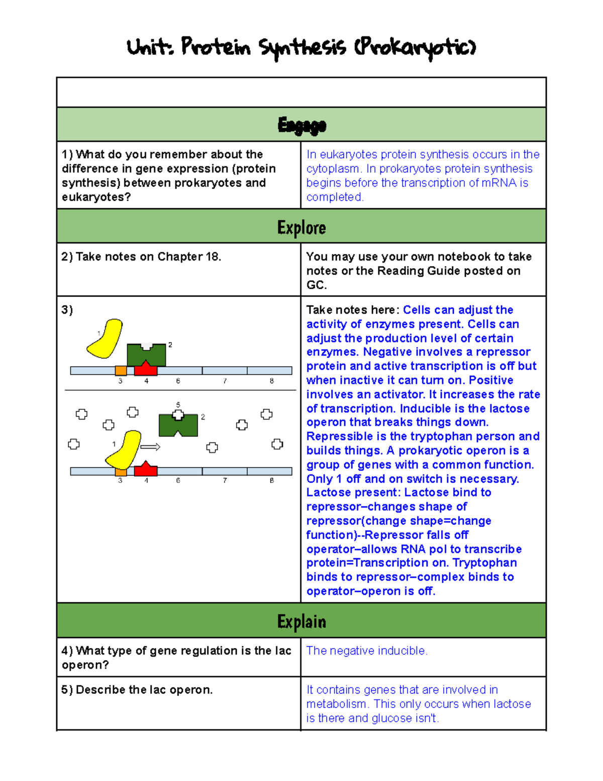 Unit Protein Synthesis (Prokaryotic) Hyperdoc - Unit: Protein Synthesis ...