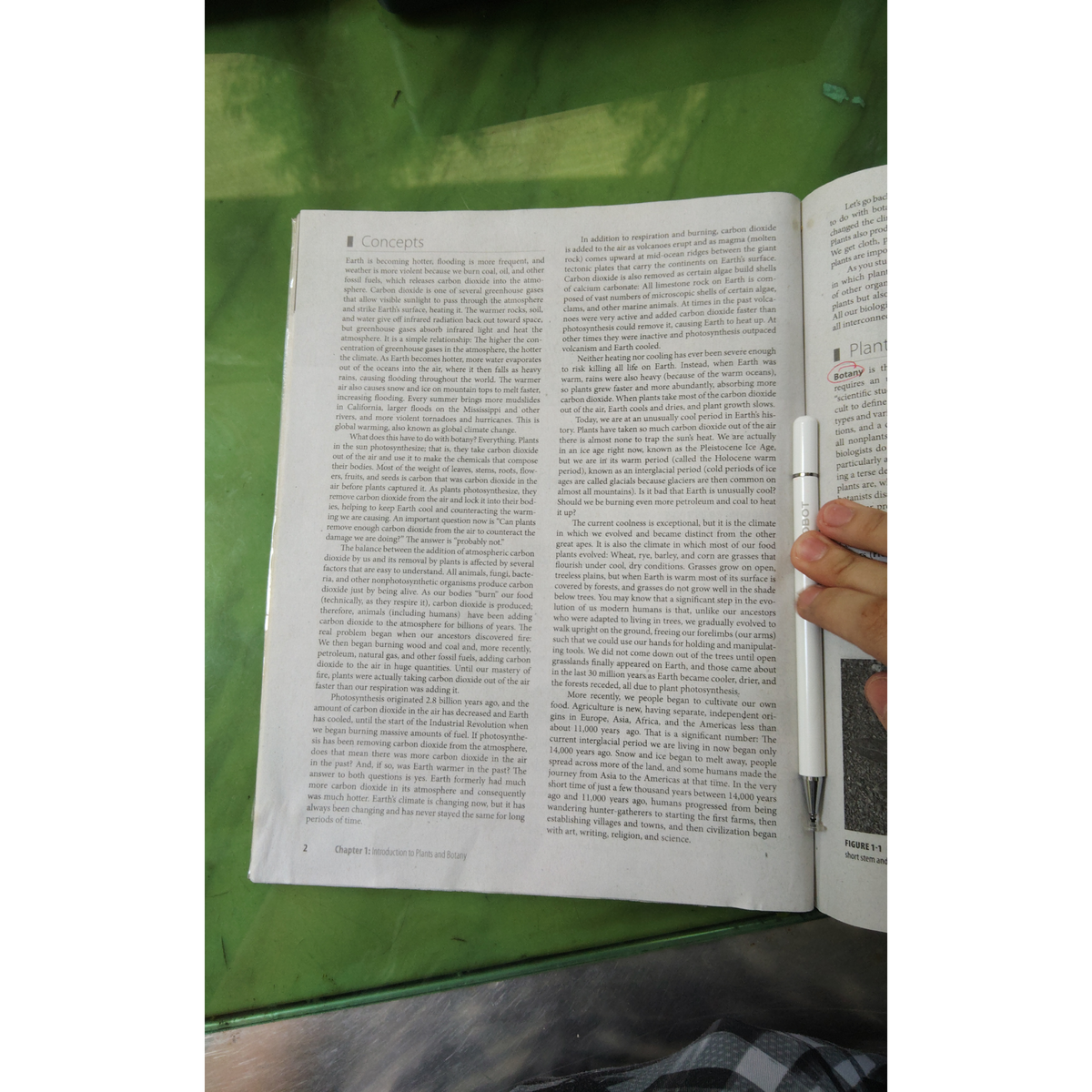 Botany - Highly knowledgeable - Chemistry - Studocu