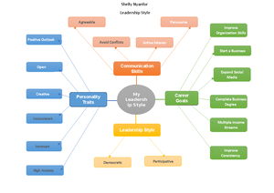 Organizational Structure - Organizational Structure Heather Sarasohn ...