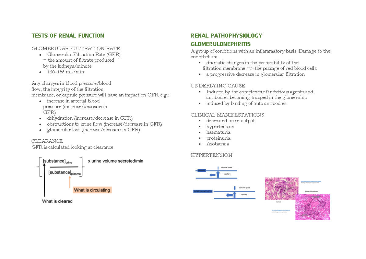 Tests OF Renal Function - TESTS OF RENAL FUNCTION GLOMERULAR FULTRATION ...