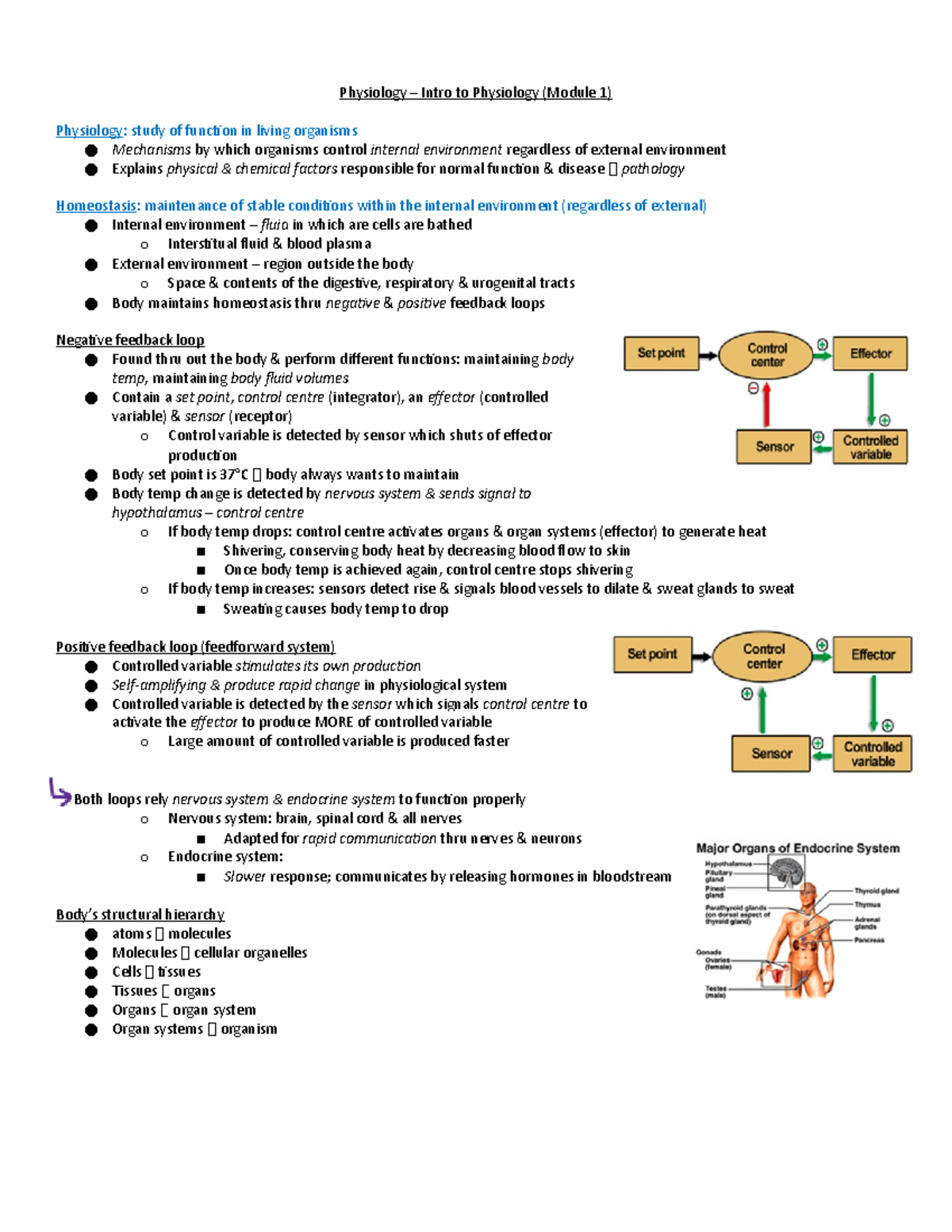 Physiology 1021 Notes - Physiology – Intro to Physiology (Module 1 ...
