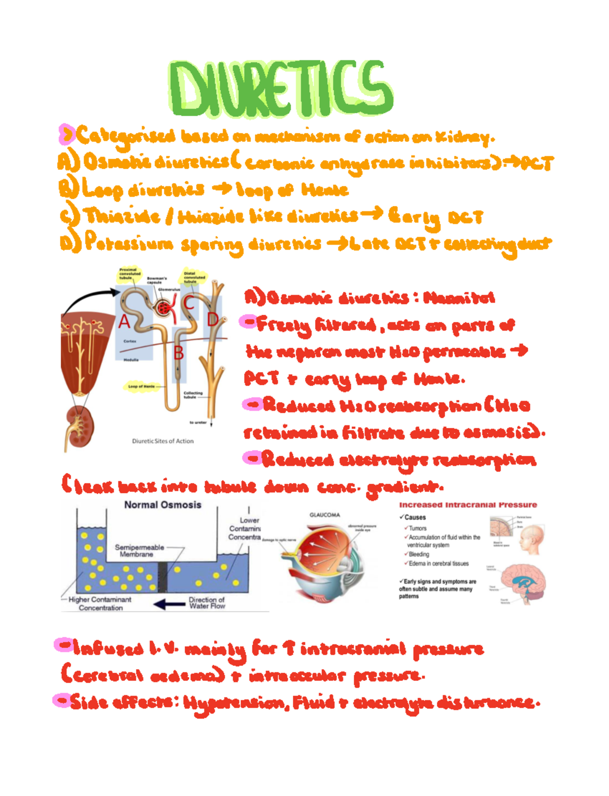 Diuretics - Pharmacology - DIURETICS Categorised based onmechanismof ...