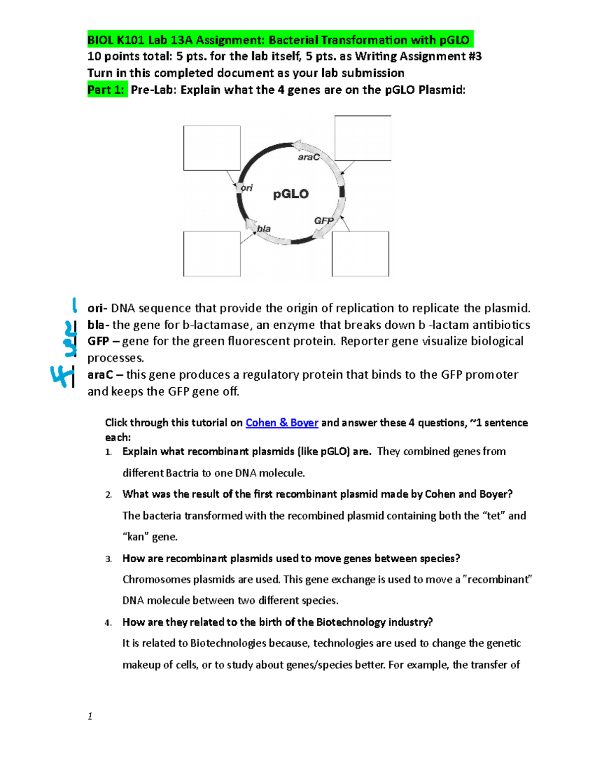K101 Lab 13A p GLO Lab Students FA20 (Final) - BIOL K101 Lab 13A ...