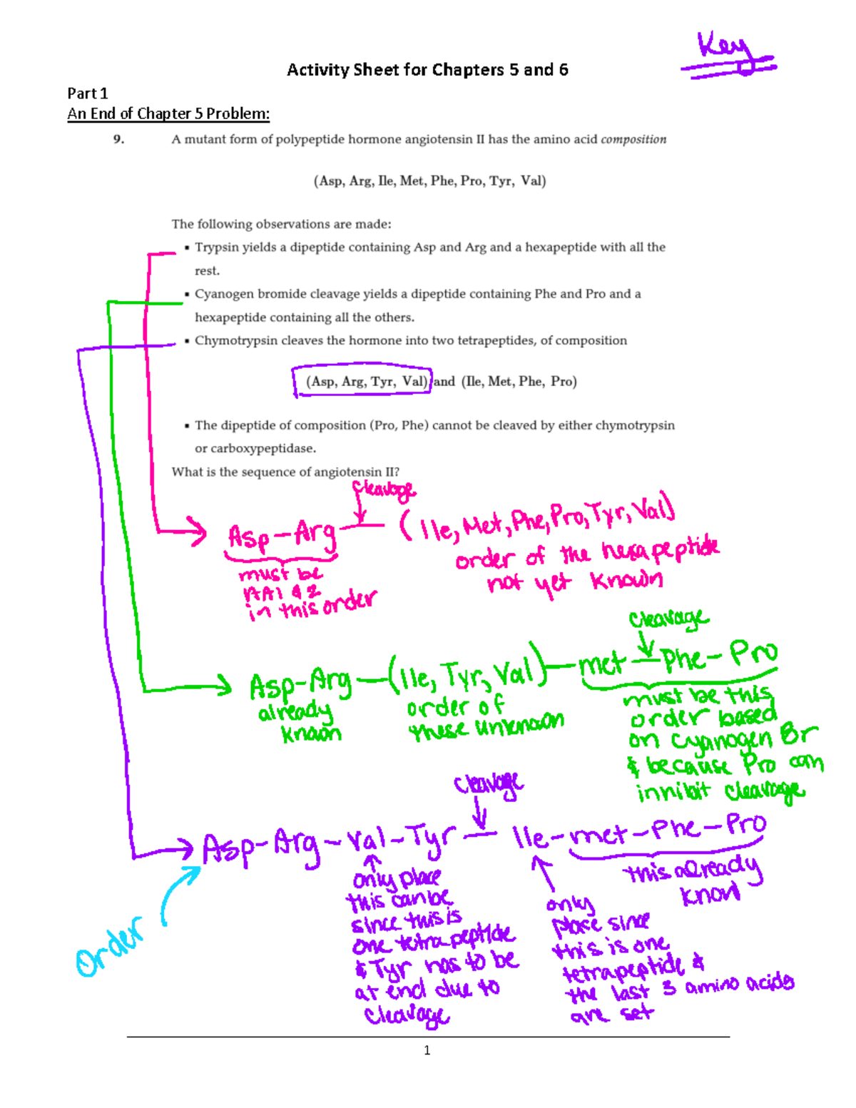 Ch 5 and 6 Activity Answer Key - Activity Sheet for Chapters 5 and 6 ...