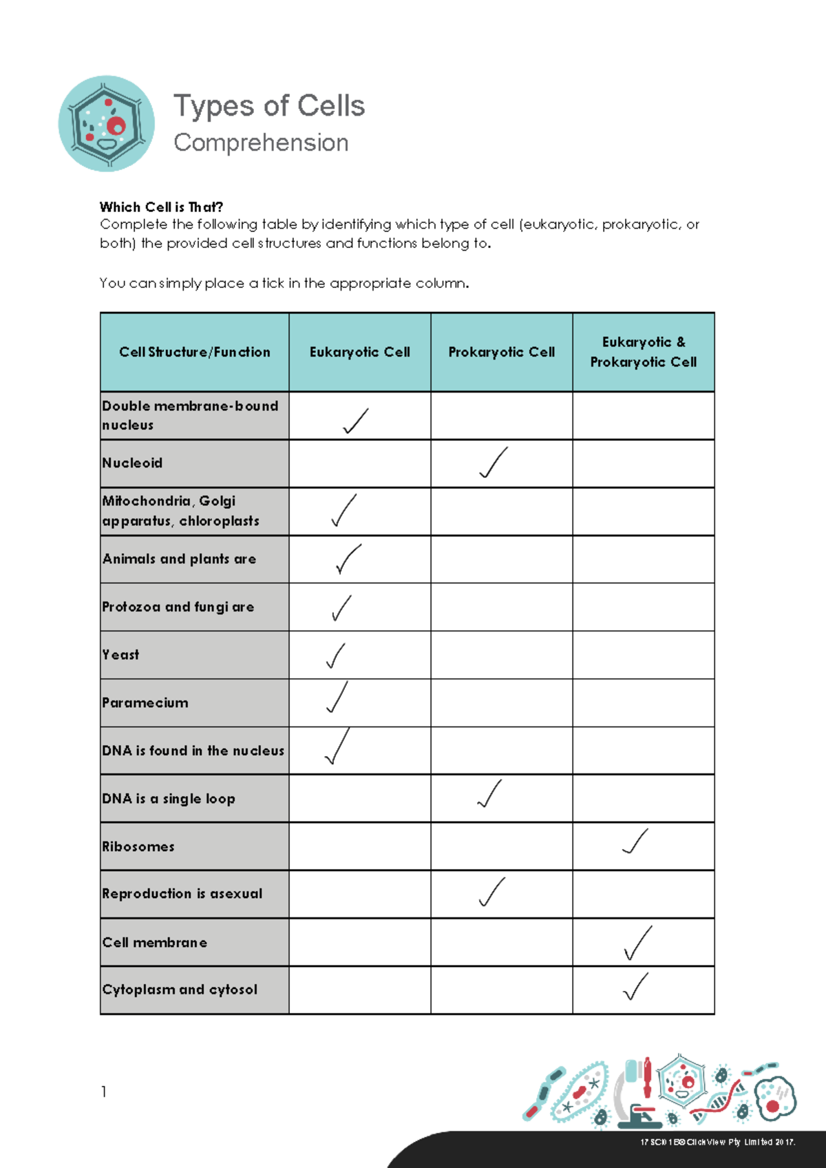 1.1 Types of Cells Comprehension - 1 Types of Cells Comprehension ...