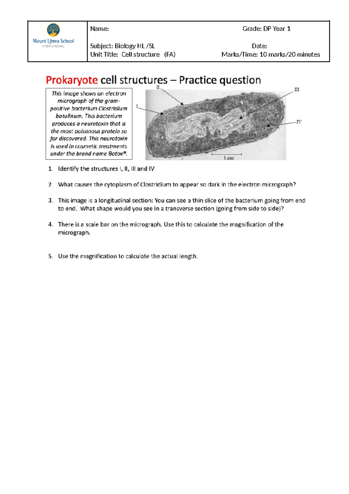 Cells- FA- DP1 - Biology SL - Name: Grade: DP Year 1 Subject: Biology ...