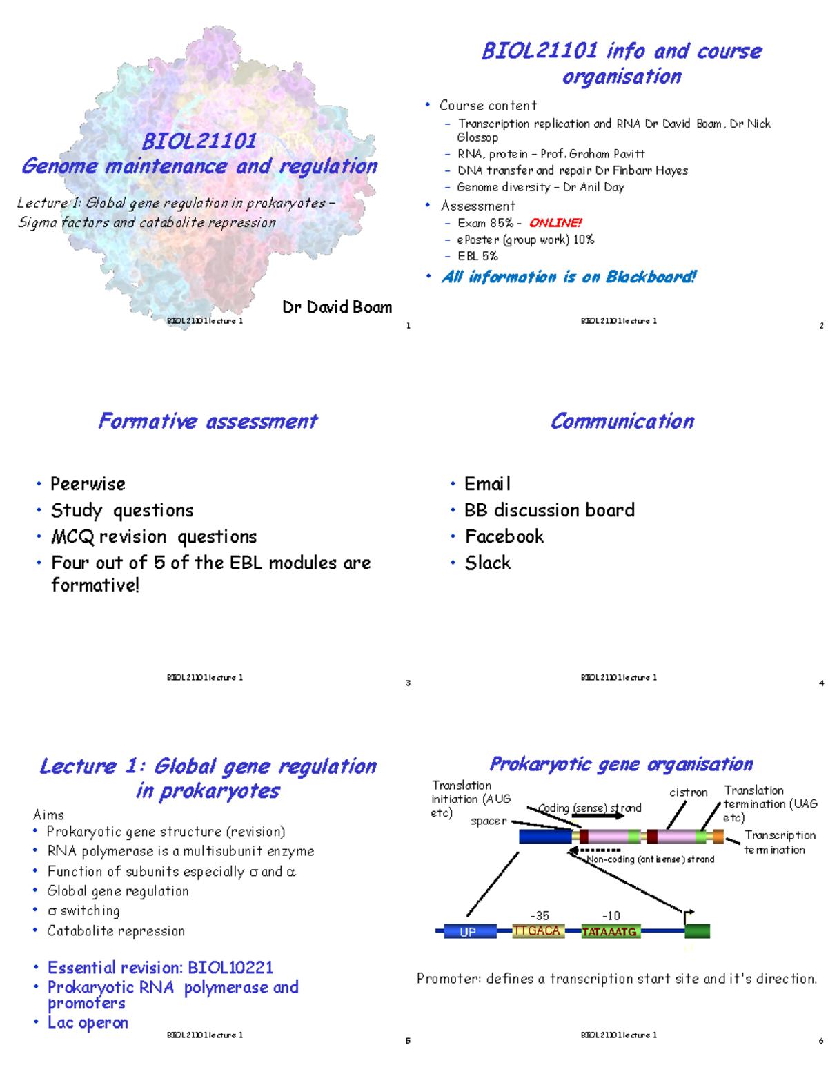 lecture 1 describing basic principles - BIOL Genome maintenance and ...