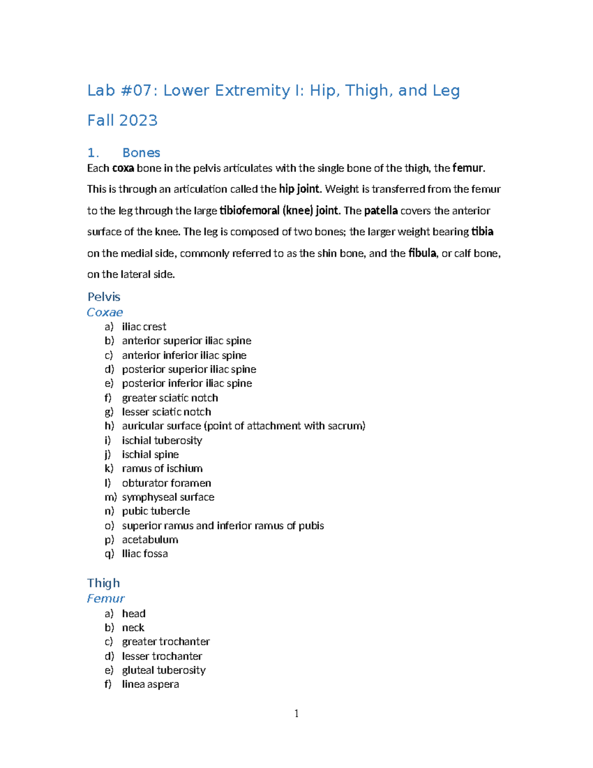 Lab 07 - Thigh and Knee - Lab - Lab #07: Lower Extremity I: Hip, Thigh ...