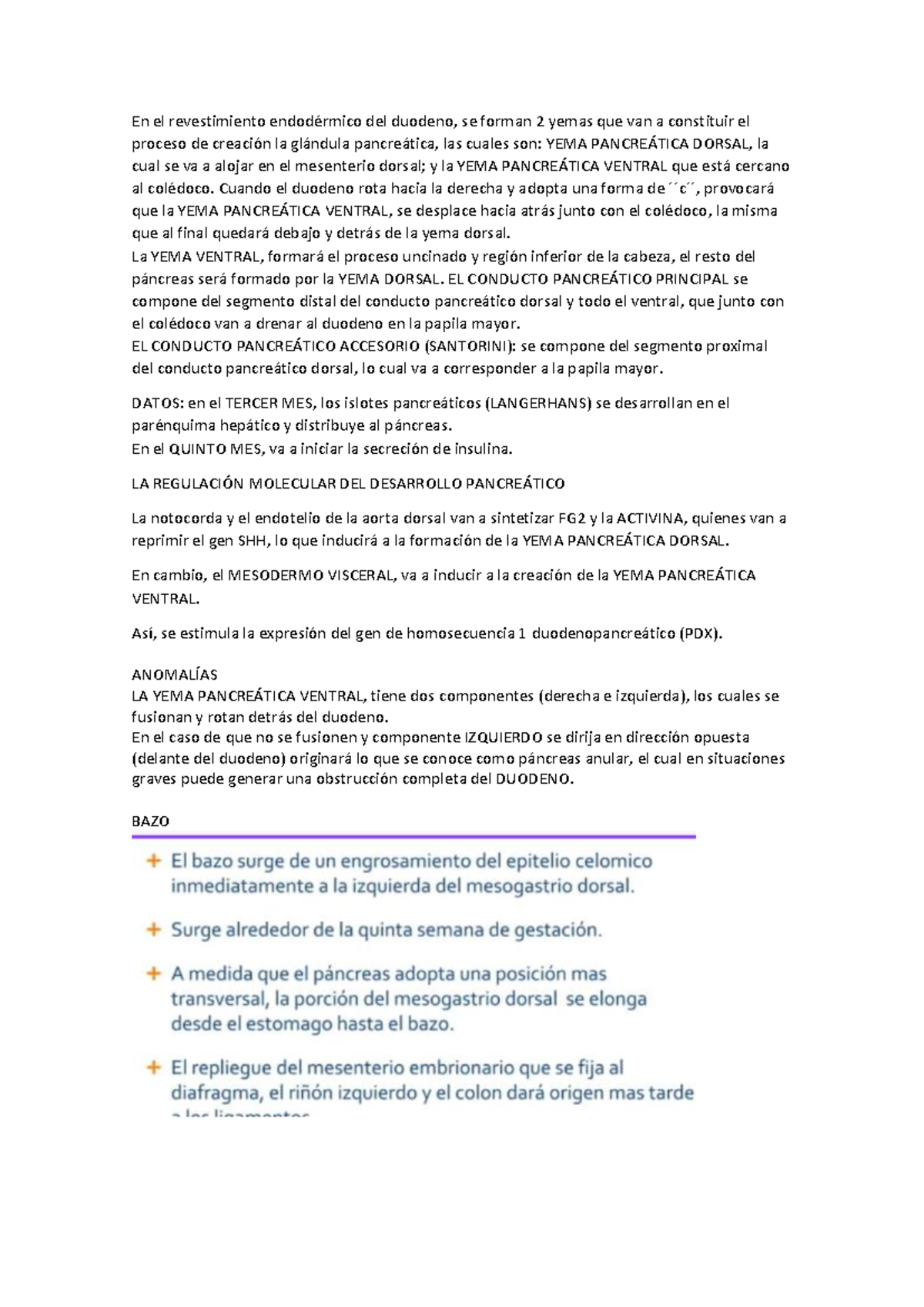 Expo embrio - material informativo para exposición sobre la formación ...