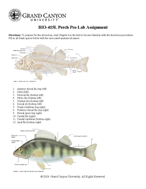 Perch Prelab - BIO-415L Perch Pre-Lab Assignment Directions: To prepare ...