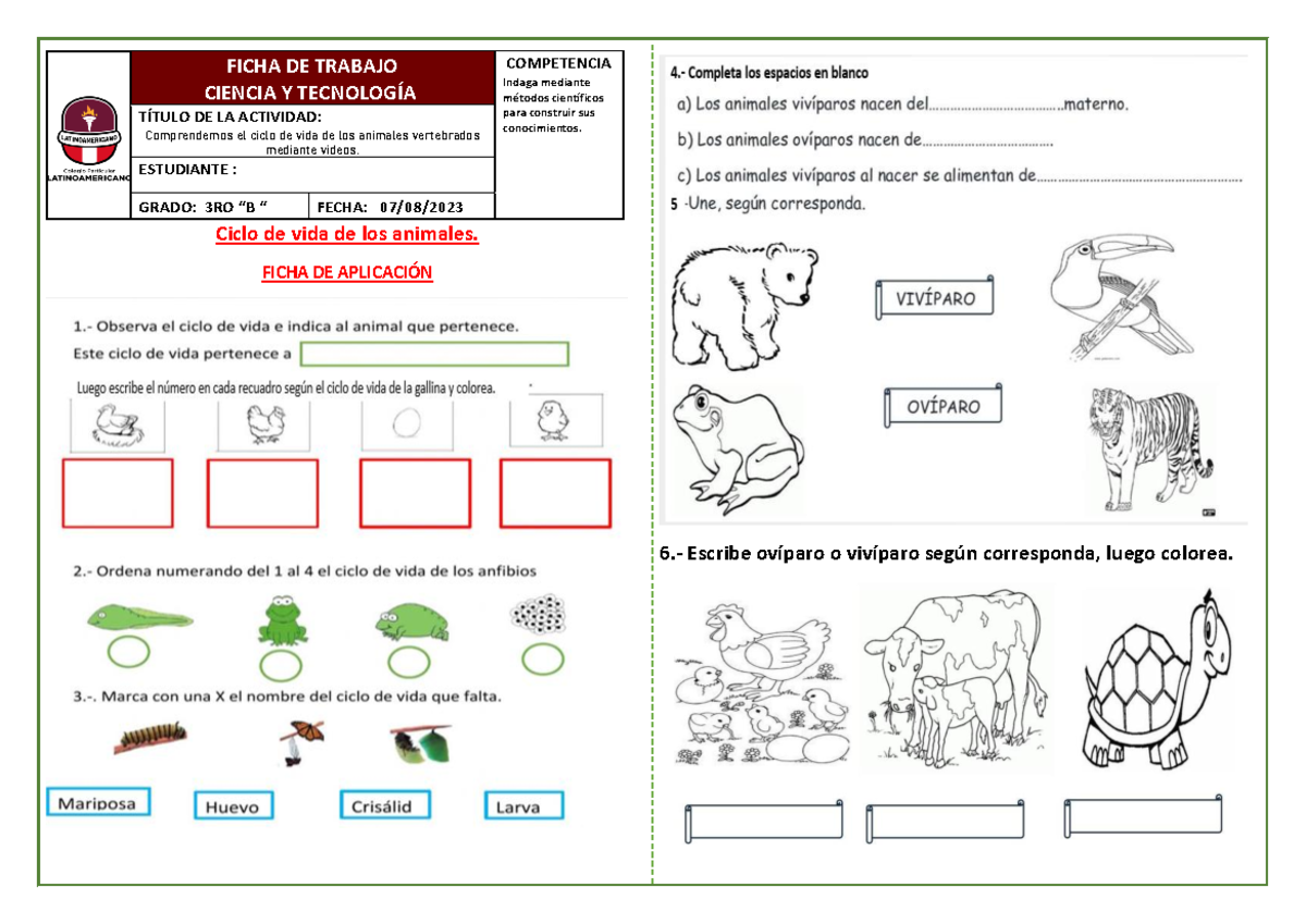Ficha 01- Ciclo de vida de los animales - Contabilidad financiera ...