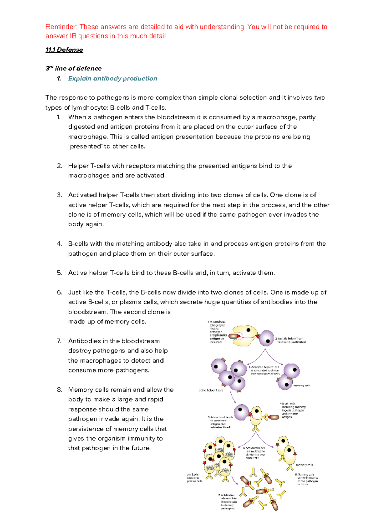 11. Animal Physiology (HL) - answer IB questions in this much detail ...