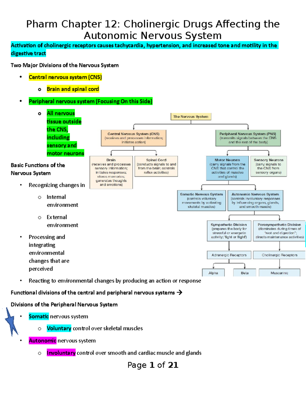 Pharm Chapter 12 Cholinergic Drugs Affecting the Autonomic Nervous ...