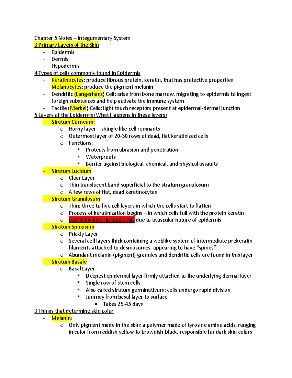 Ch 5 - LECTURE NOTES - Chapter 5 Notes – Integumentary System 3 Primary ...