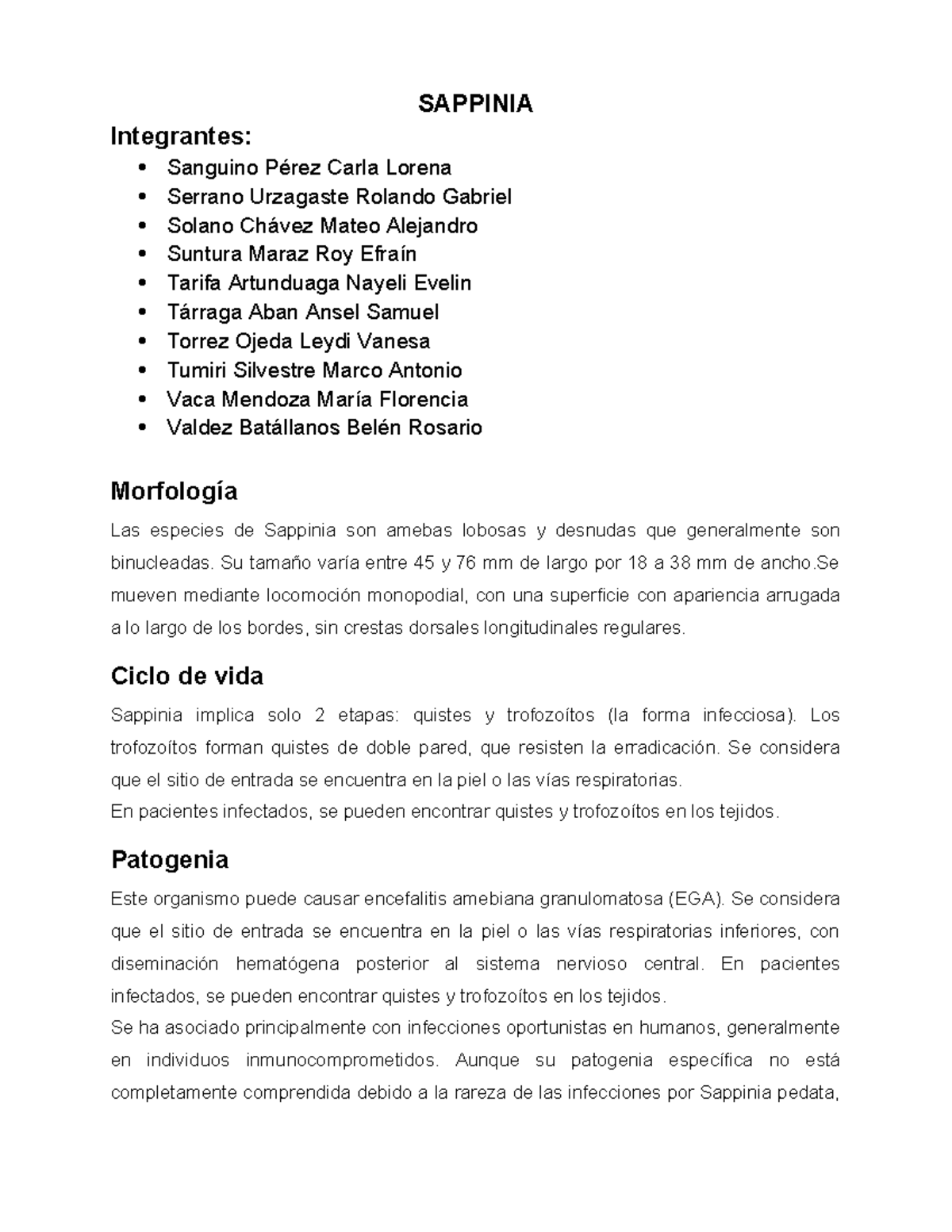 Sappinia - Su tamaño varía entre 45 y 76 mm de largo por 18 a 38 mm de ...