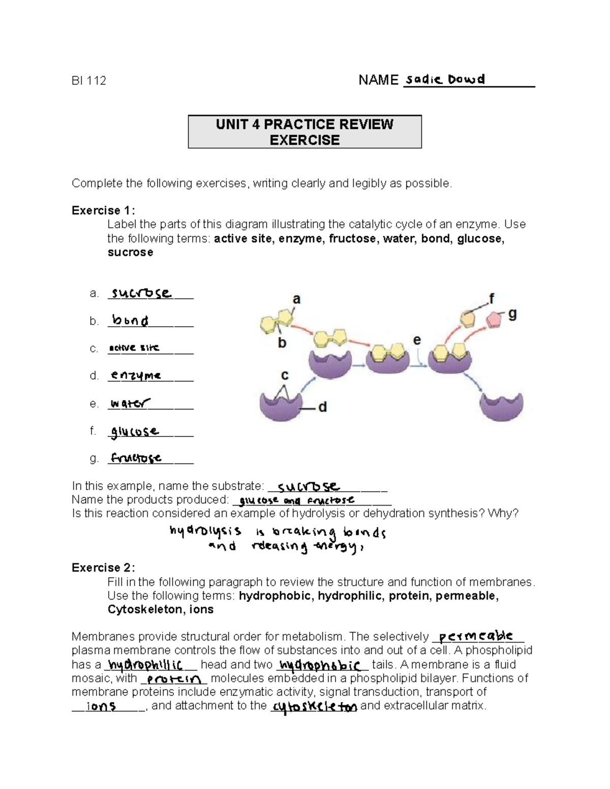 BI112 Unit 4 Review - BI 112 NAME _________________ UNIT 4 PRACTICE ...