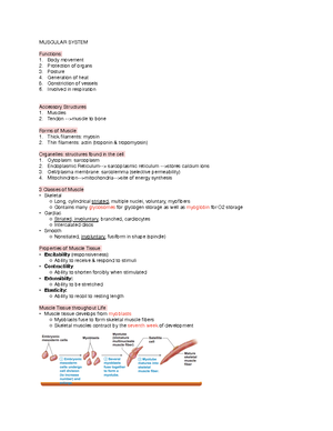 Skeletal SYS - notes for anatomy and physio - SKELETAL SYSTEM ...