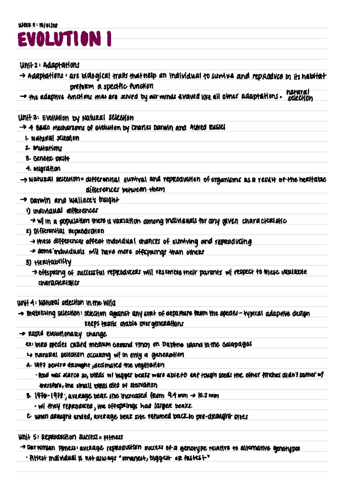 Evolution I Ii Warning Error During Font Loading Xmlrequest Is Not Defined Warning